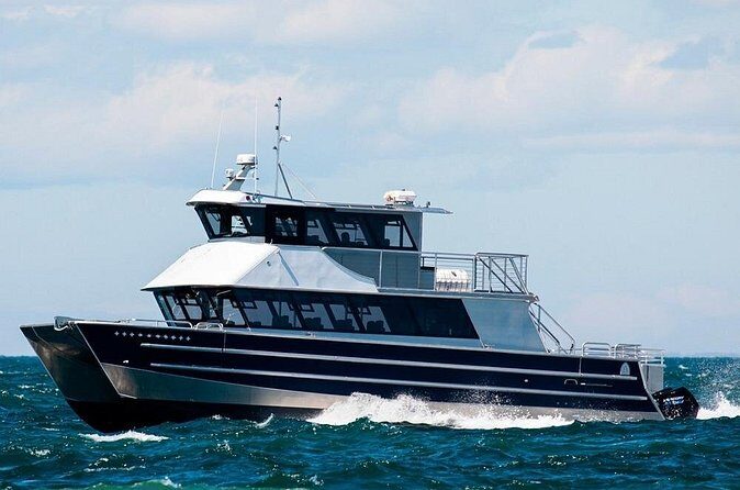 Port Townsend Wildlife Watching Cruise - The Experience: What You Will Love