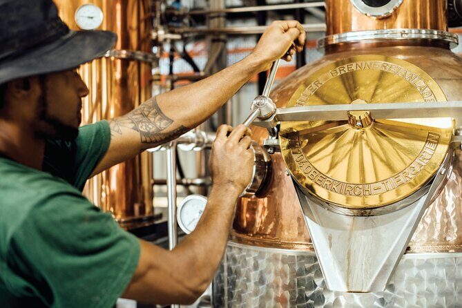 Port Vila's Guided Food Experience - Final Thoughts: Making the Most of Your Day in Vanuatu