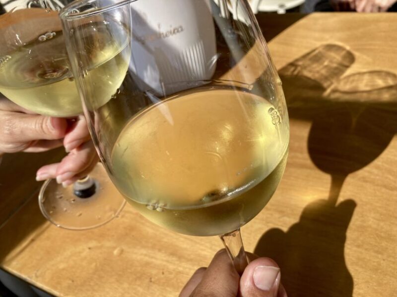 Port wine & wine walking tour with culture - max 8 pax - FAQs