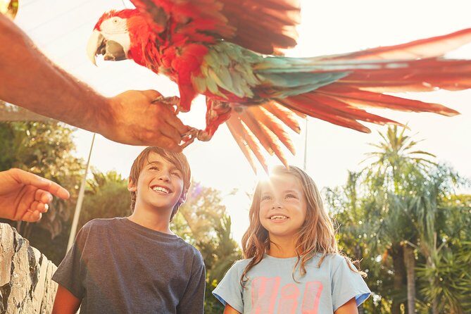 PortAventura Park Day Trip from Barcelona - Who Should Consider This Tour?