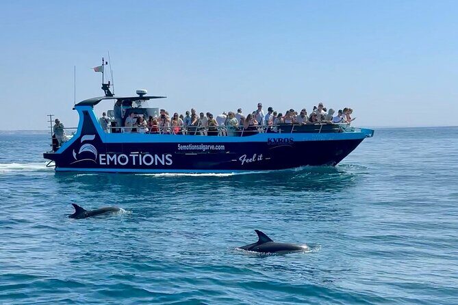 Portimão : 2.5 hours Dolphins Watching Biologist on Board - Key Points