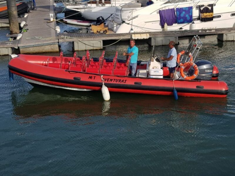 Portimão: Dophin Watching on the Algarve Coast - Who Should Consider This Tour?