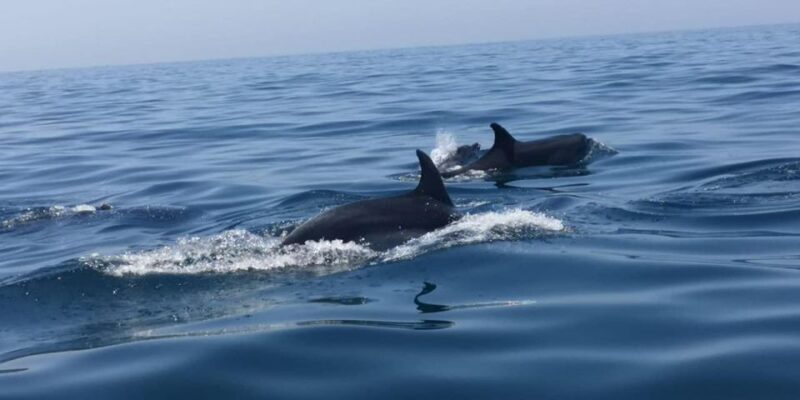 Portimão: Family Gathering - What’s Included and What’s Not