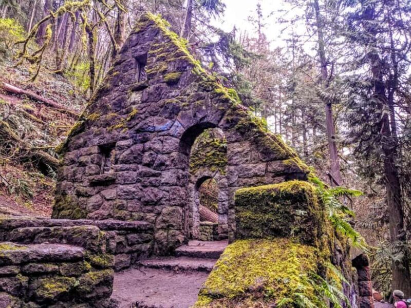 Portland: Forest Park Guided Hike with Witches Castle - FAQ