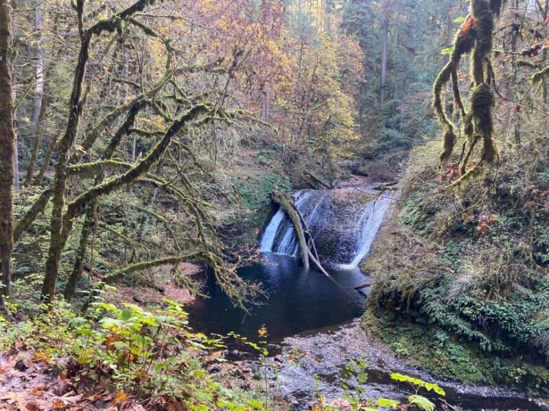 Portland: Silver Falls State Park Waterfall Hike - Practical Details and Logistics