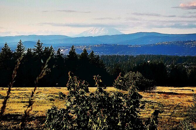 Portland Tea Party Outdoor Tea Ceremony Experience - Why This Tour Offers Great Value