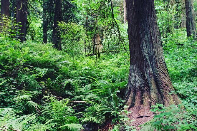 Portland Tea Party Outdoor Tea Ceremony Experience - FAQ