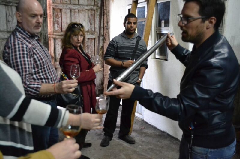 Porto: 3 Douro Valley Vineyards Tour with Lunch - Who Will Love This Tour?  