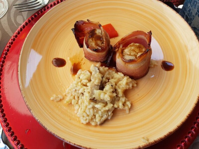 Porto: 3 Douro Valley Vineyards Tour with Lunch - Final Thoughts  