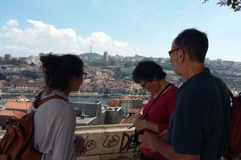 Porto: 3-Hour Downtown Walking Tour - Final Thoughts
