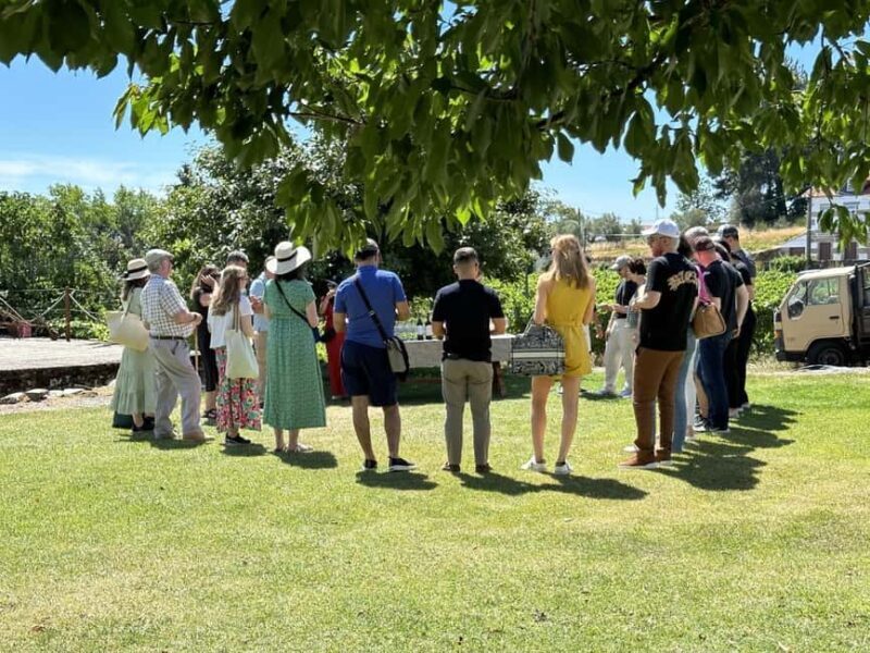 Porto: 3 Wine Regions & Farm Lunch with Views Small-Group - Exploring Portugal’s Douro Valley: A Small-Group Wine Tour from Porto