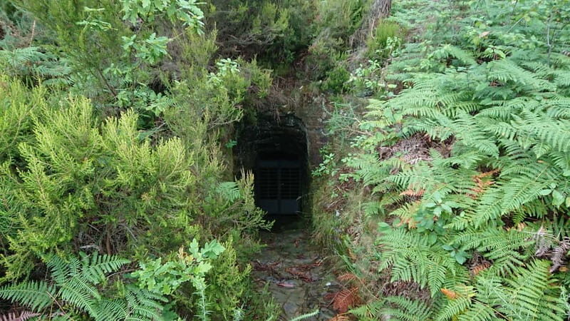 Porto: 4x4 Mountain Tour - Final Thoughts: Who Should Book?