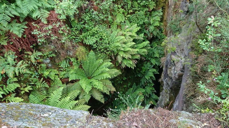 Porto: 4x4 Mountain Tour - FAQs