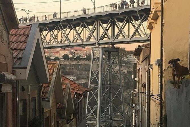 Porto, Aveiro and Costa Nova Private Tour From Lisbon - Who Is This Tour Best For?