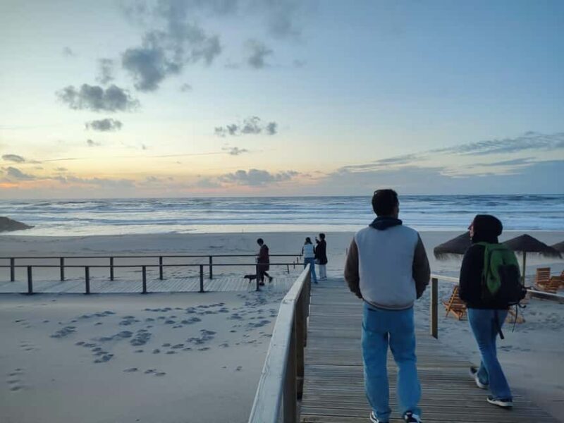 Porto: Aveiro Small-Group Half Day Tour - Who Will Love This Tour?