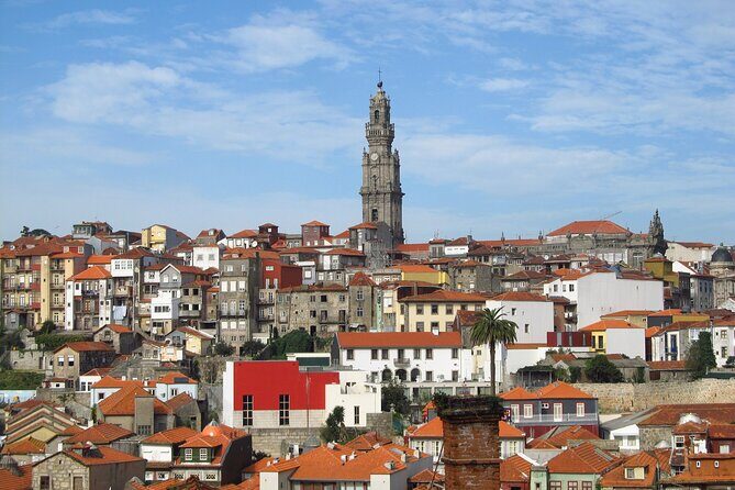 Porto Best-Of Private Tour  A Customizable Experience - An In-Depth Look at the Porto Best-Of Private Tour