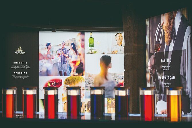 Porto: Cálem Cellar Tour, Live Fado Show and Wine Tasting - Who Should Consider This Tour?