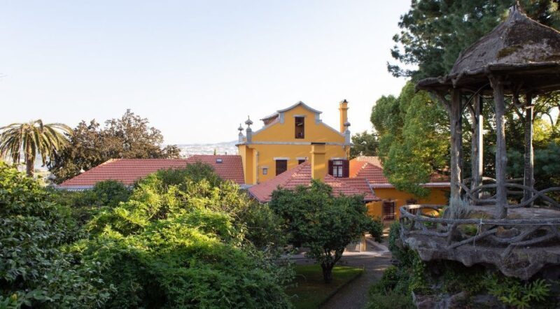 Porto: Casa São Roque Direct Entry Ticket - Key Points