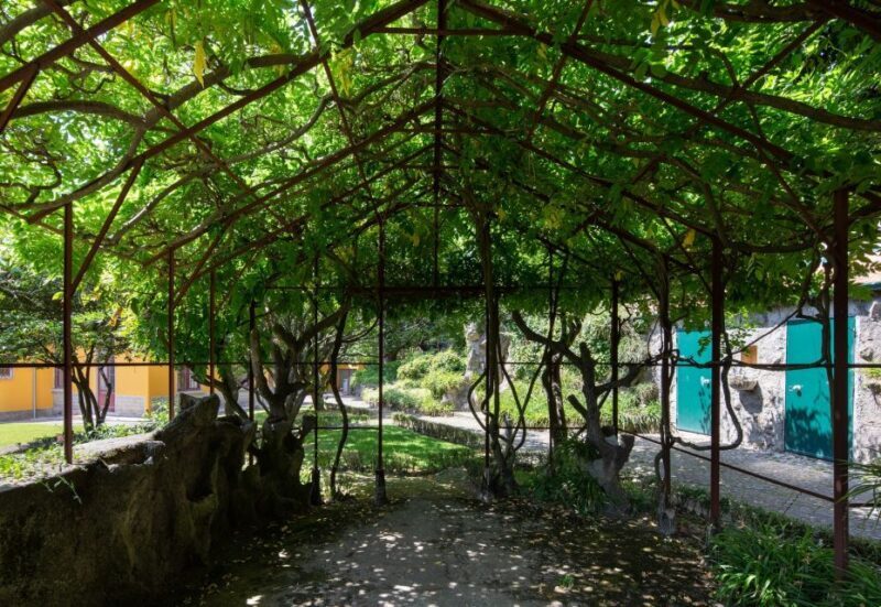 Porto: Casa São Roque Direct Entry Ticket - Final Thoughts: Is It Worth It?