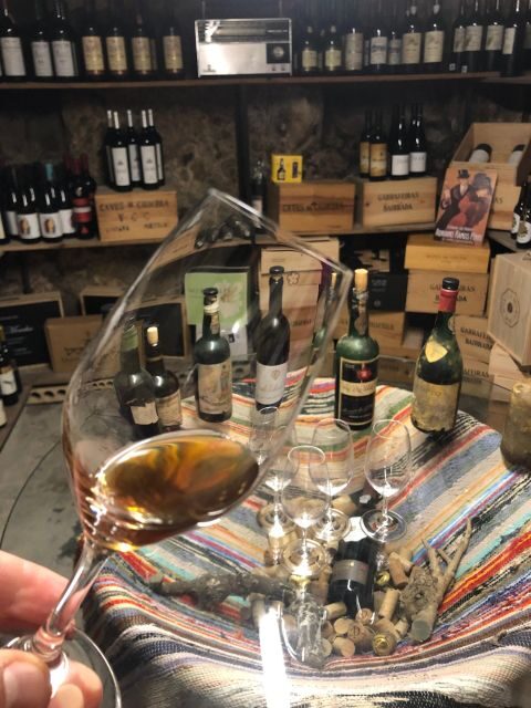 Porto: Cheese and Port Wine Tasting in a Unique Place - The Charm of the Location and Setting