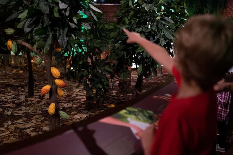 Porto: Chocolate Museum - Unwrap the Secrets of Chocolate - Final Thoughts