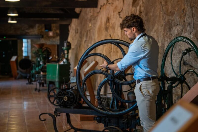 Porto City Full Day Minibus Tour, Wine Tasting & Six Brigdes - A Deep Dive into Porto’s Best