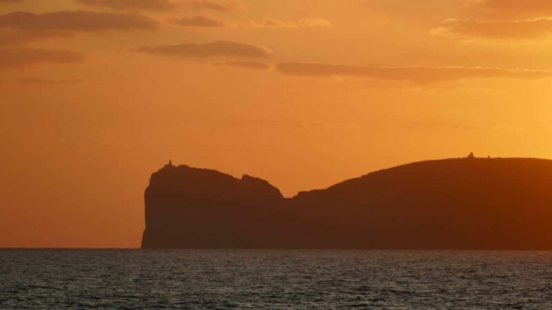 Porto Conte: Sunset catamaran excursion with aperitif - The Boat and Amenities