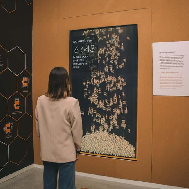 Porto: Cork Museum: Immersive and Perfect for Families - Exploring the World of Cork: What You Can Expect