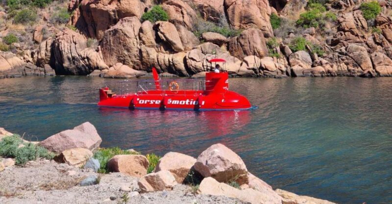 Porto : Discovery of the marine fauna and flora/Bay of Porto - The Experience Reviews: Authentic Travelers’ Perspectives