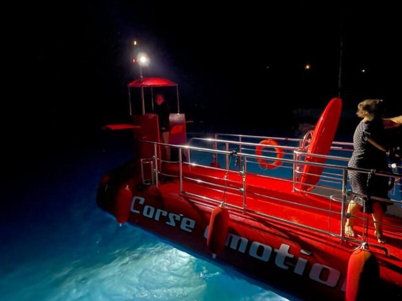 Porto : Discovery of the marine fauna and flora/Bay of Porto - Final Thoughts: Is This Tour Worth It?