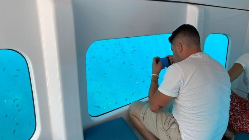 Porto : Discovery of the marine fauna and flora/Bay of Porto - FAQ