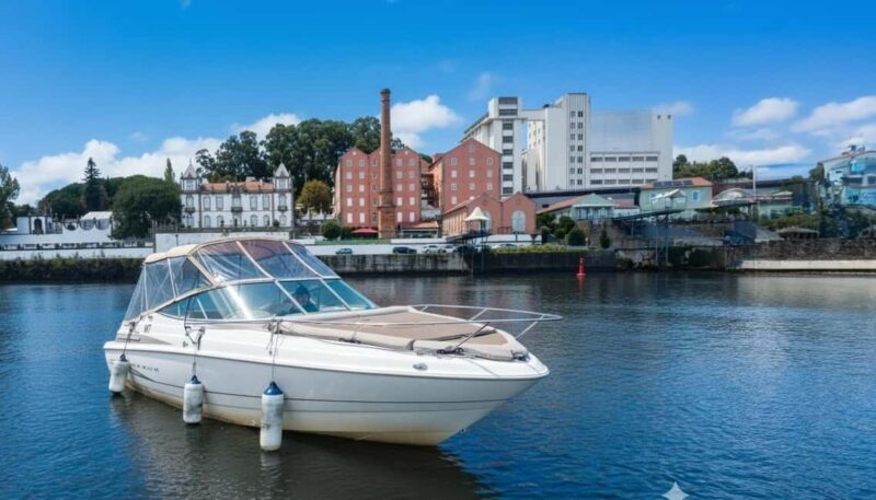 Porto: Douro River Cruise & Boat Tour with Port Wine Tasting - The Guides and Atmosphere