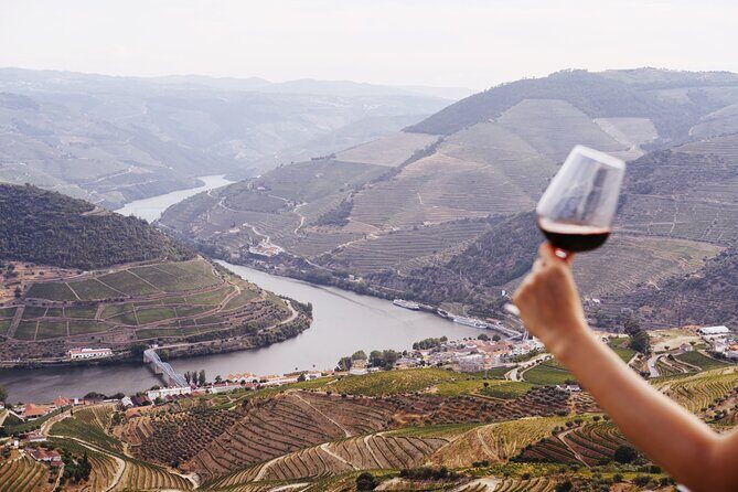 Porto: Douro Valley, 2 Wine Regions, Sommelier, Boat Trip & Lunch - Final Thoughts