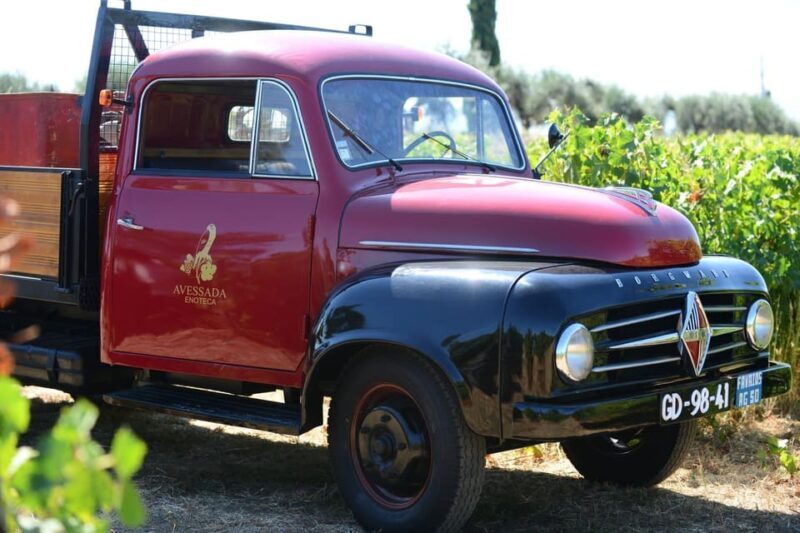 Porto: Douro Valley Day Trip with Lunch and Favaios Village - Introduction