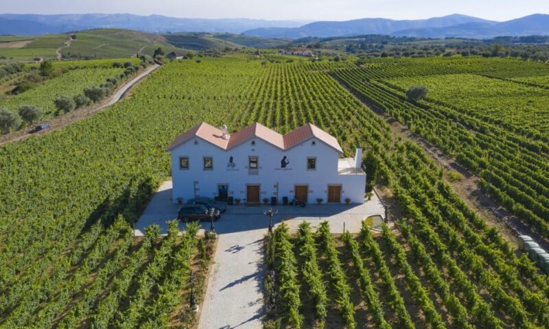 Porto: Douro Valley Day Trip with Lunch and Favaios Village - Overall Value and Practicalities