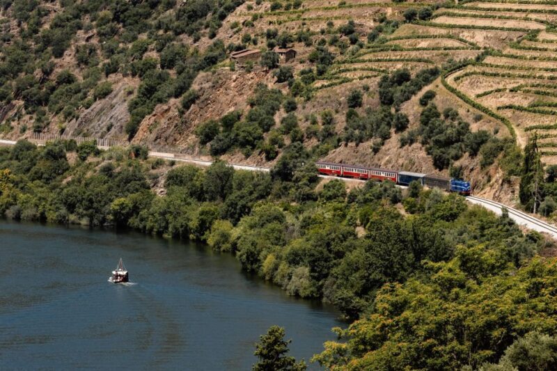 Porto: Douro Valley Full-Day Boat, Train, and Lunch Tour - Discovering the Heart of Portugal: What to Expect