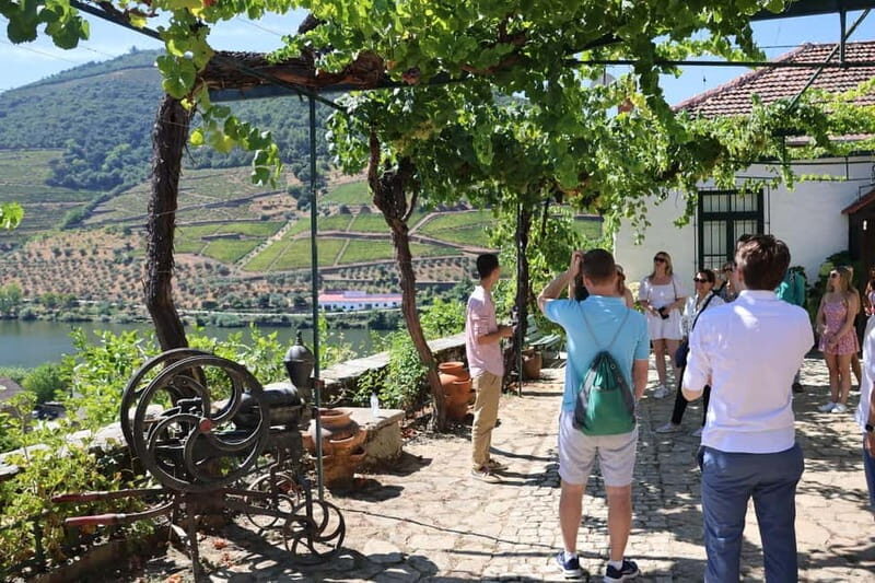 Porto: DOURO VALLEY Half-day Tour - Key Points