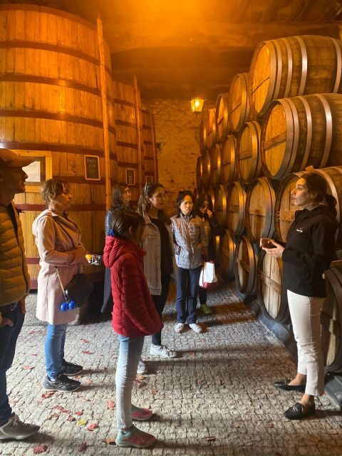 Porto: DOURO VALLEY Half-day Tour - The Sum Up: Who’s This Tour Best For?