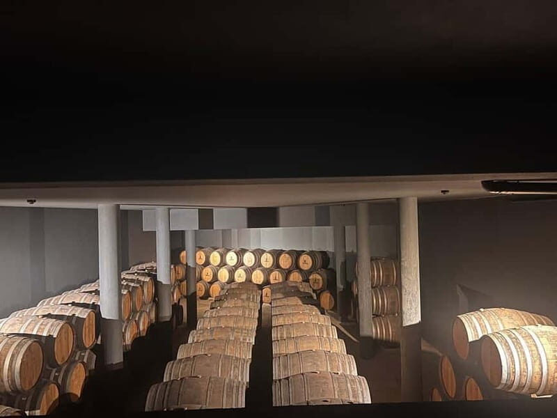 Porto: Douro Valley Half-Day Wine and Food Tour - A Practical Breakdown of the Tour