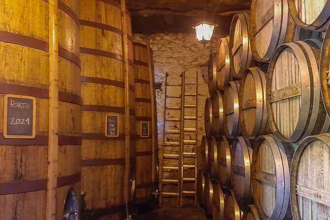 Porto: Douro Valley Private Grand Experience - Private - Who Will Love This Tour?
