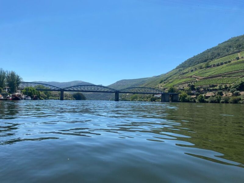 Porto: Douro Valley Private Tour 2 Vineyards & River Cruise - An In-Depth Look at the Douro Valley Private Tour