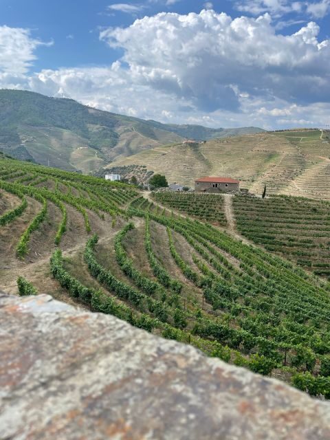 Porto: Douro Valley Private Tour 2 Vineyards & River Cruise - Reviewing the Experience: What Travelers Say