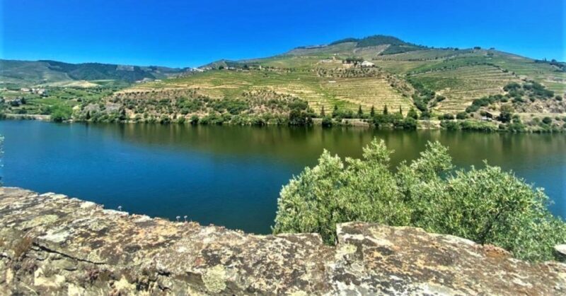 Porto: Douro Valley Private Tour 2 Vineyards & River Cruise - Who Will Love This Tour?