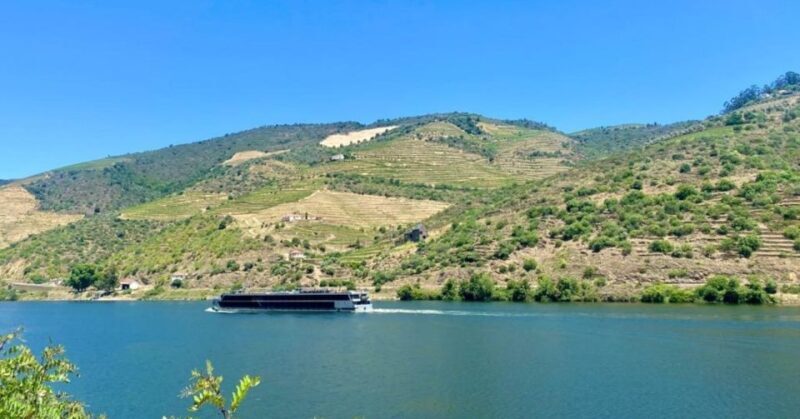 Porto: Douro Valley Private Tour 2 Vineyards & River Cruise - The Sum Up