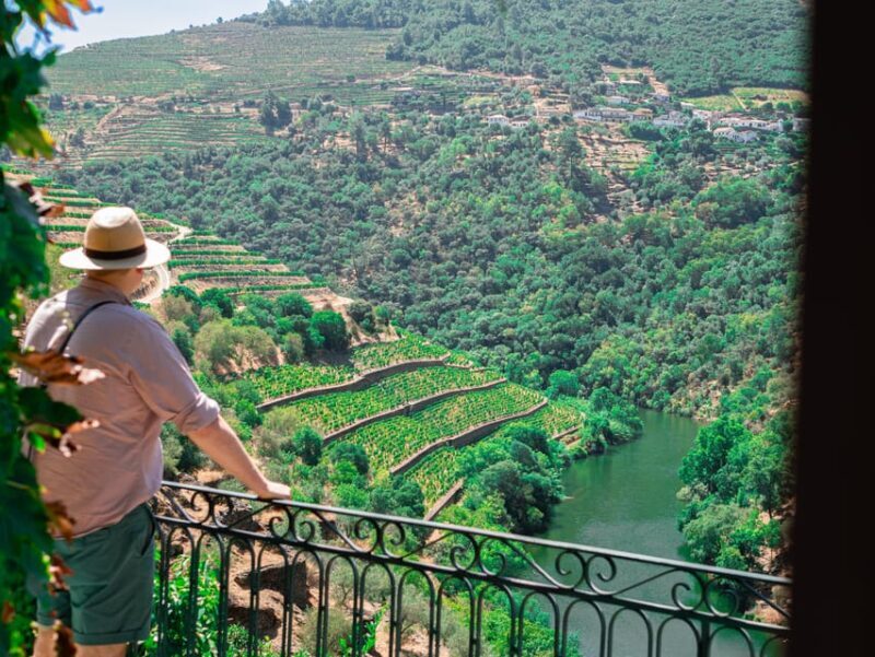 Porto: Douro Valley Private Tour, Tastings, Cruise & Lunch - Who Will Love This Tour?  
