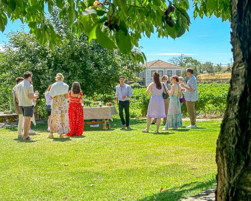 Porto: Douro Valley Tour with 2 Wineries, Lunch and Cruise - Key Points