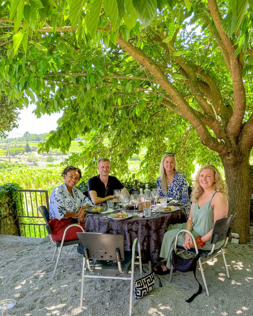 Porto: Douro Valley Tour with 2 Wineries, Lunch and Cruise - Who Is This Tour Perfect For?