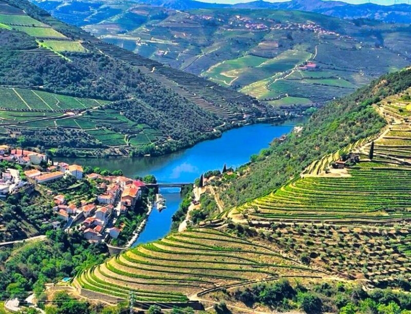 Porto: Douro Valley Tour with 2 Wineries, Lunch and Cruise - FAQs