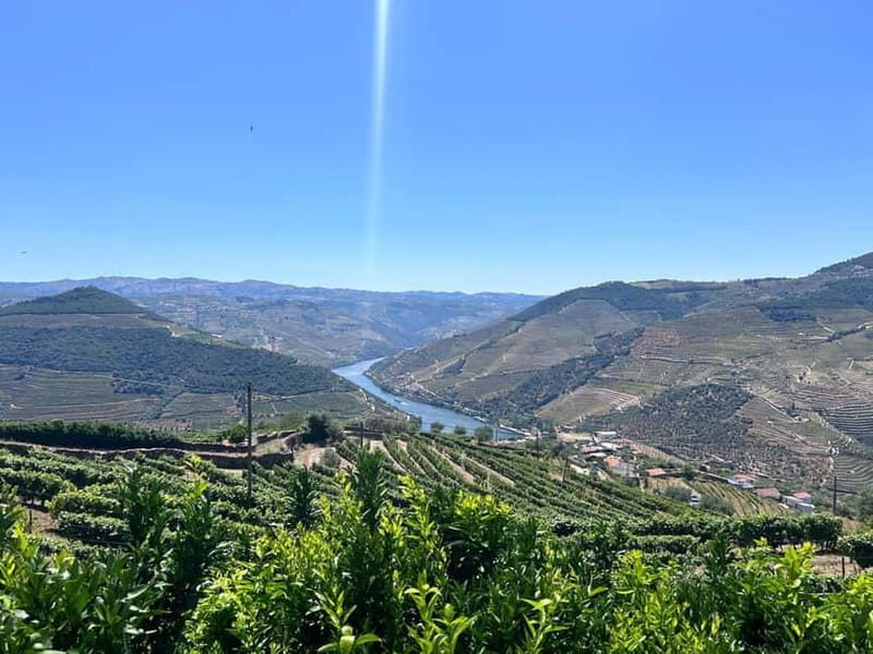 Porto: Douro Valley Tour with 3 Wineries and Lunch - FAQ