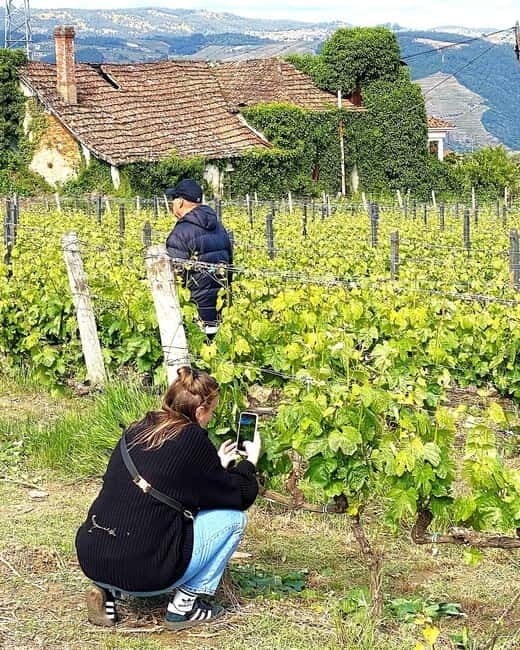 Porto: Douro Valley Tour with 3 Wineries and Lunch - Final Thoughts